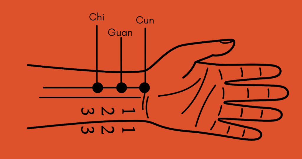 Pulse and Tongue: The Art Behind Chinese Medicine Diagnosis - CCMUK